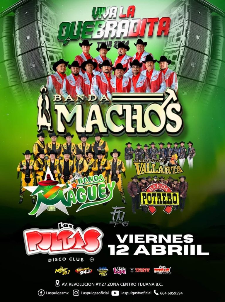 Banda Machos y Banda Maguey en Tijuana 2024